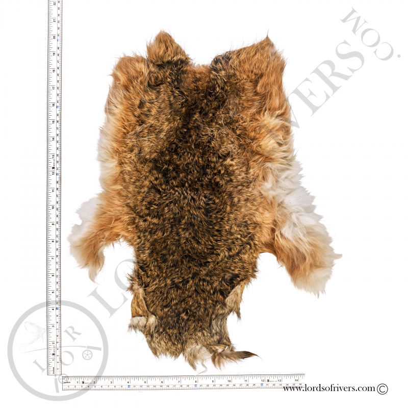 Raw tanned Full skin Hare skin Lords Of Rivers
