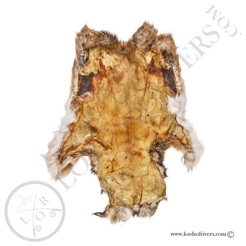 Raw tanned Full skin Hare skin Lords Of Rivers