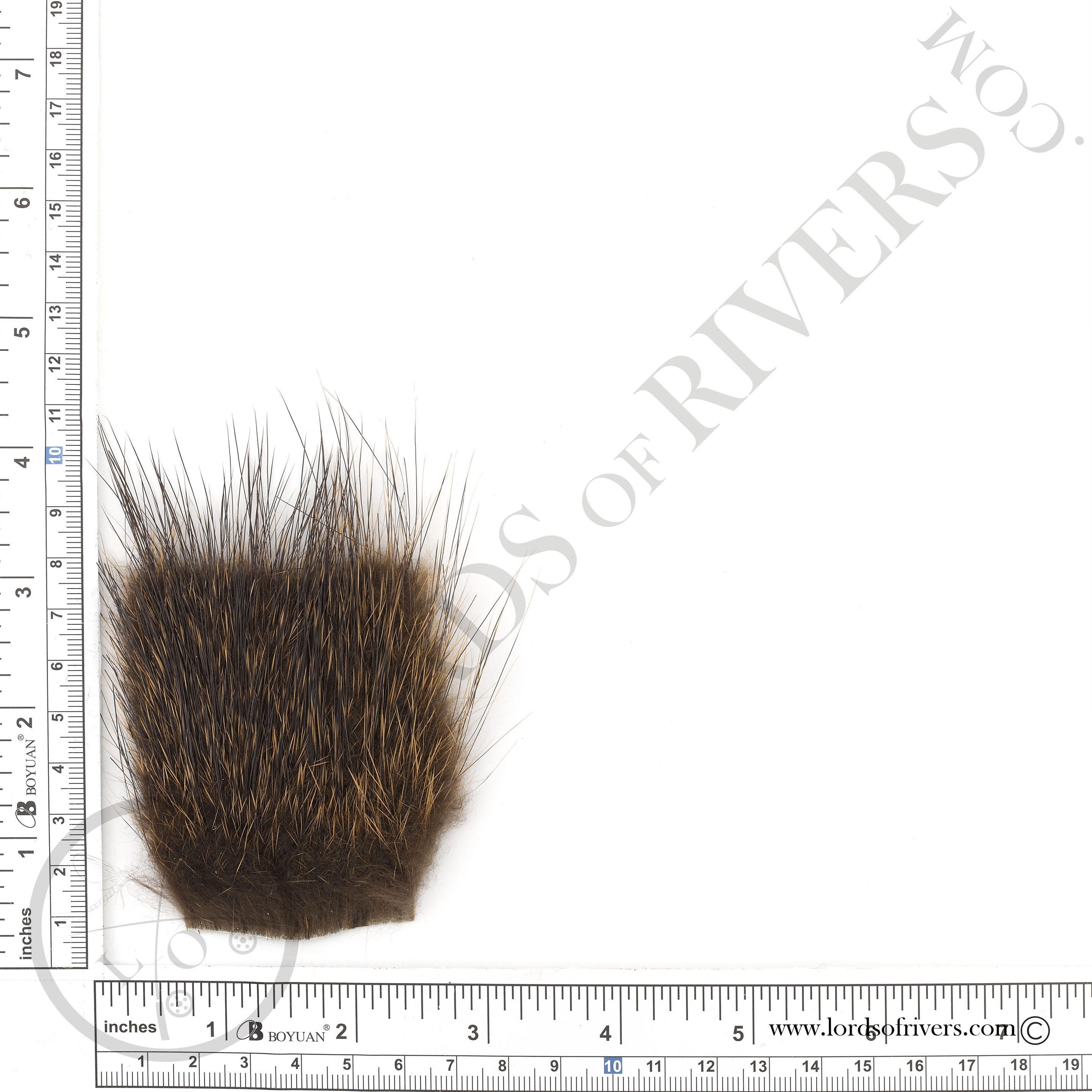 Nutria fur on skin Lords Of Rivers